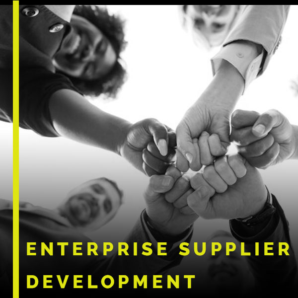 Enterprise Supplier Development | The Transformation Legacy
